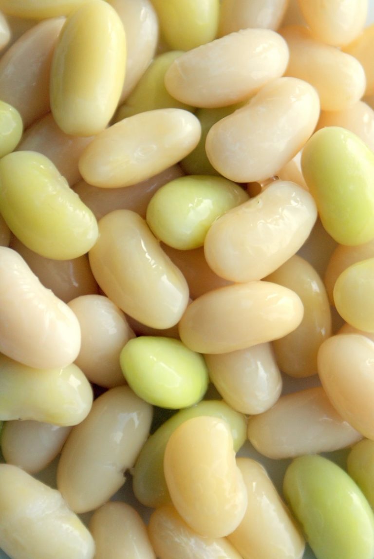 La cuisson de la mogette de Vendée - Mogette de Vendée