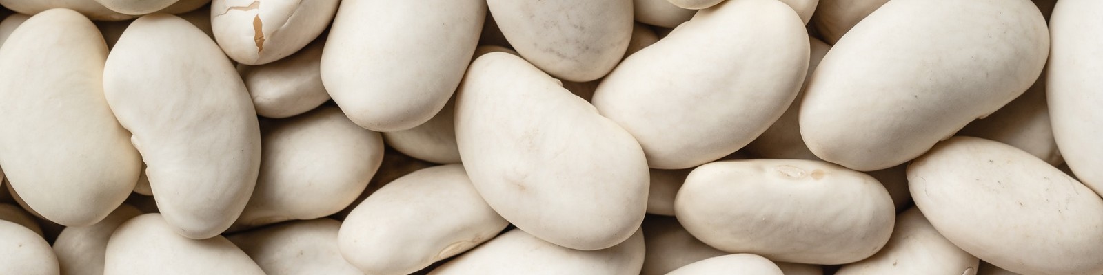 Pourquoi faire tremper ses mogettes de Vendée ? - Mogette de Vendée